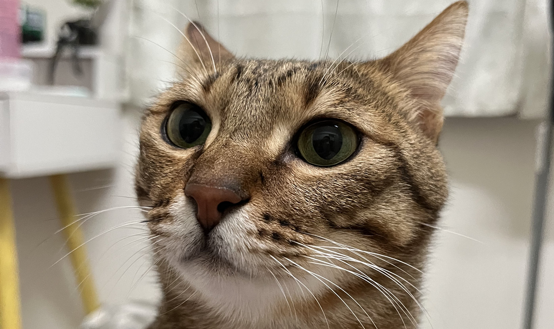 What is Hardware and Classification of Hardware Accessories? | Market ...