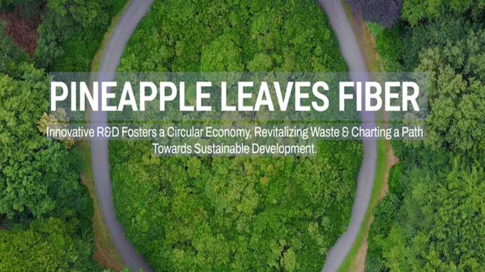 Pineapple Leaf Fiber｜Eco-Friendly Textile Innovation by UKL | Market ...