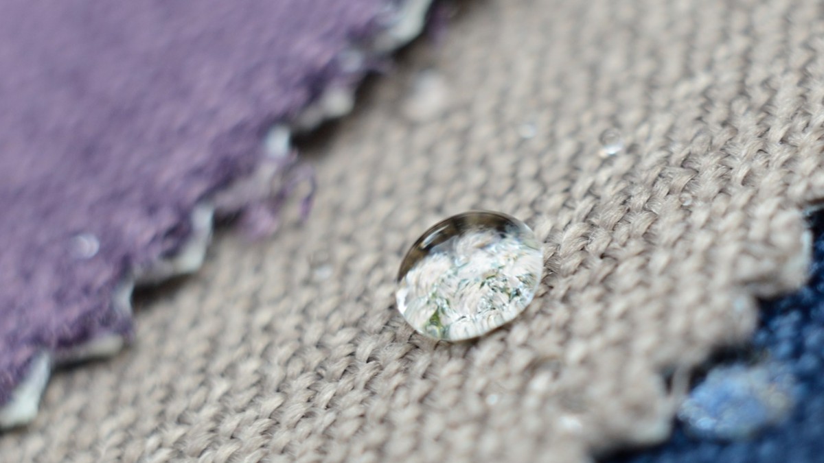 Biomimicry in Textiles: Nature-Inspired Fabrics Driving Sustainable ...