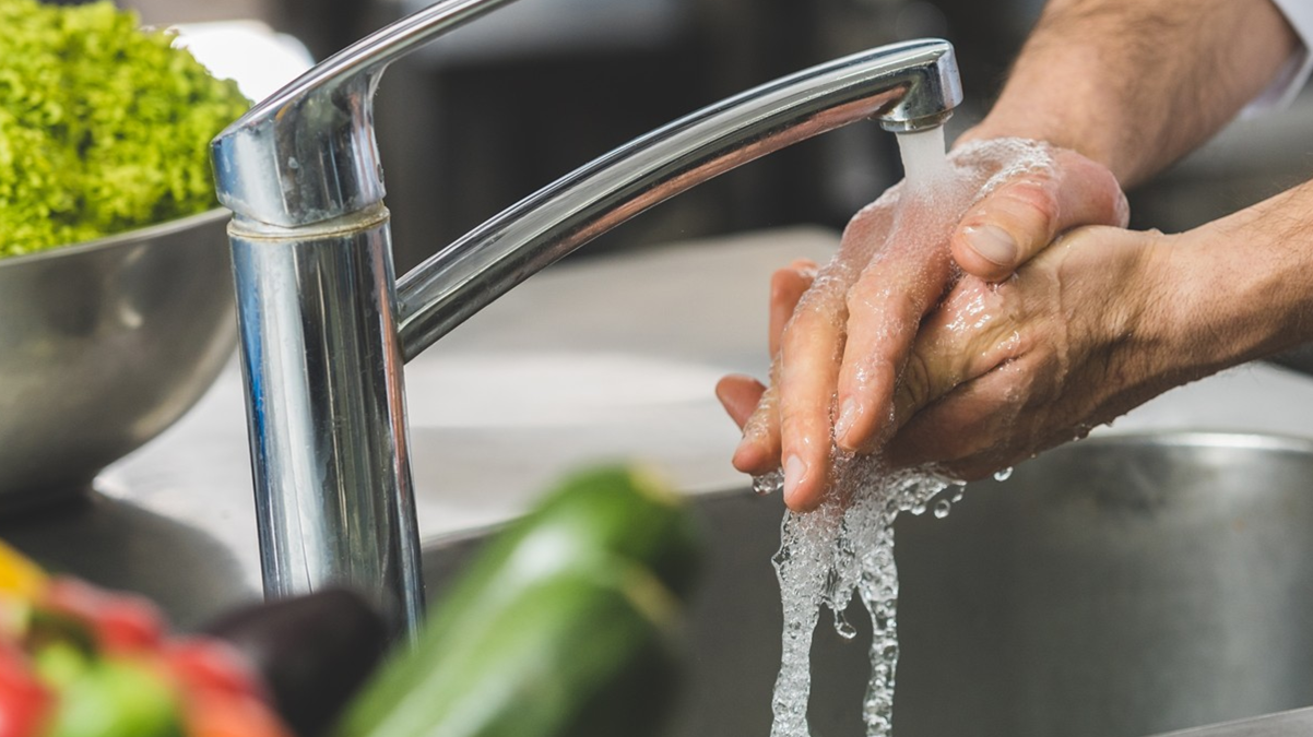 Food Cleanliness and Its Impact on the Human Body: A Farm-to-Table ...