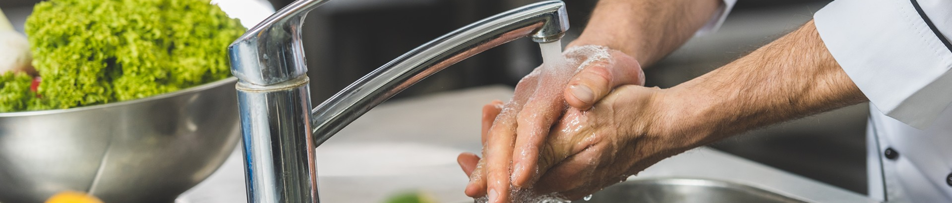 Food Cleanliness and Its Impact on the Human Body: A Farm-to-Table ...